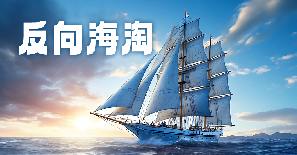 1年营业额40亿，Pandabuy凭什么这么牛？【反向海淘】